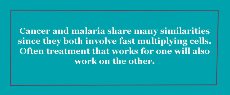 The Cure for Malaria Could be in Your Backyard - Center for Tropical ...